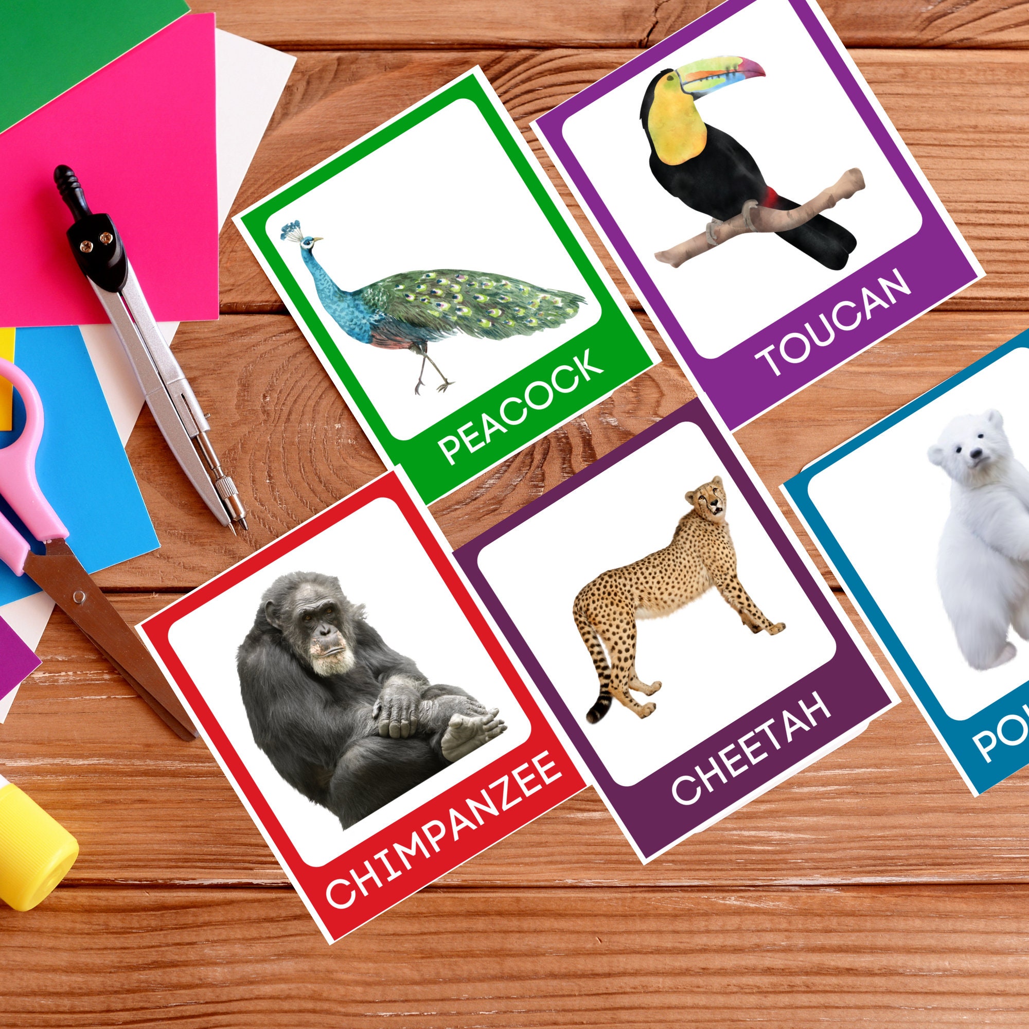 Animal Flash Cards, Pet Farm Animal Flashcards, Zoo Jungle Animals, Sea ...