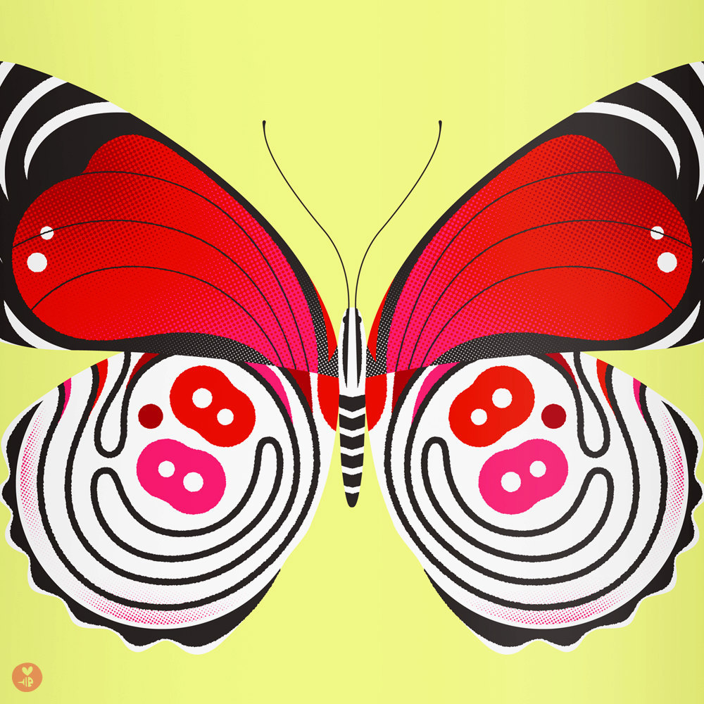 88 Butterfly Limited Edition Print - Etsy