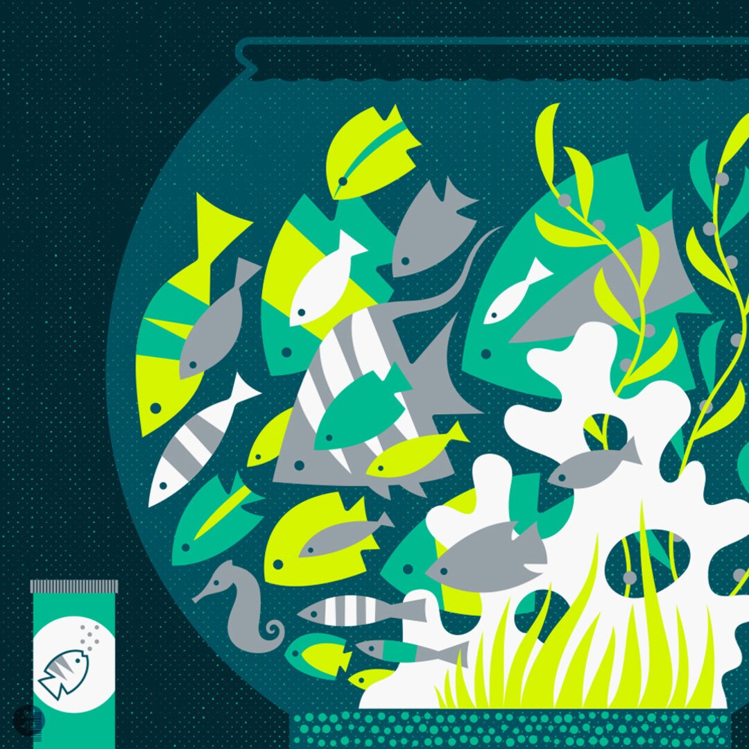 Fish Food Limited Edition Print - Etsy