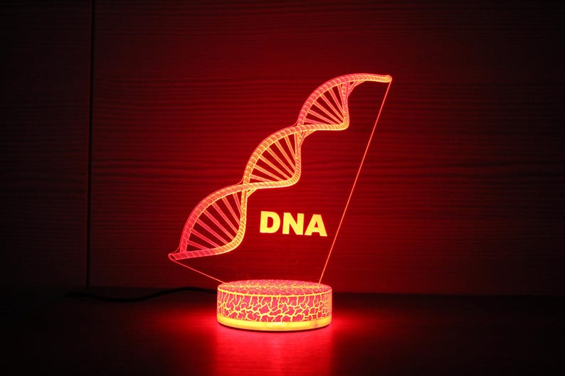 Geneticist Gift DNA Lamp Gift for Geneticist DNA Light Genetics Lamp ...