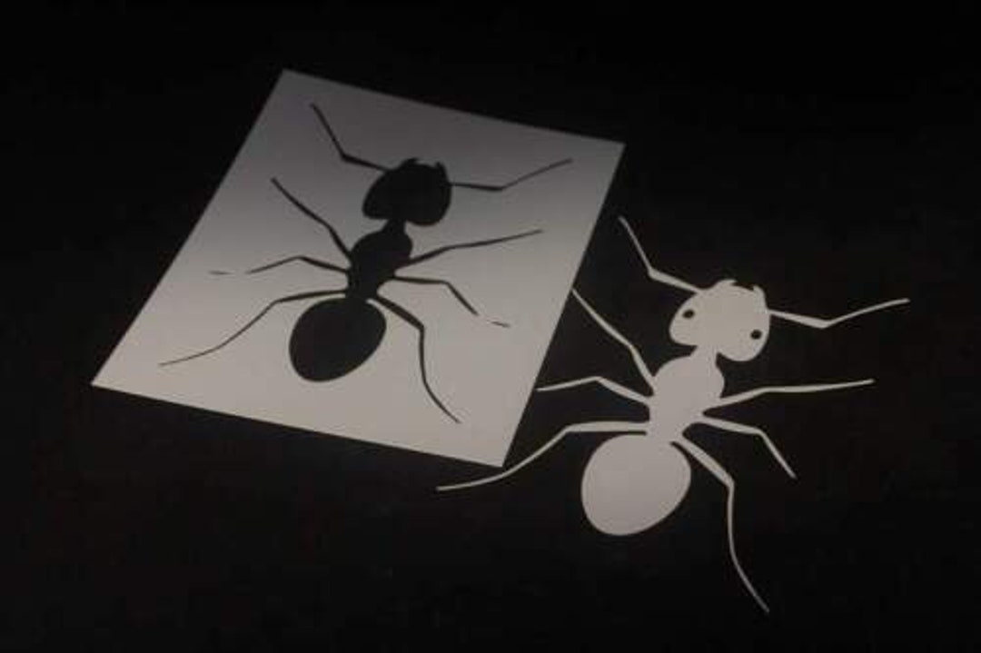 L600 Ant Insect Mylar Stencil Art Airbrush Reusable Durable Paint - Etsy