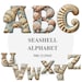 Seashell Alphabet, Coastal Beach Decor, ABC Seashell, ABC Beach ...