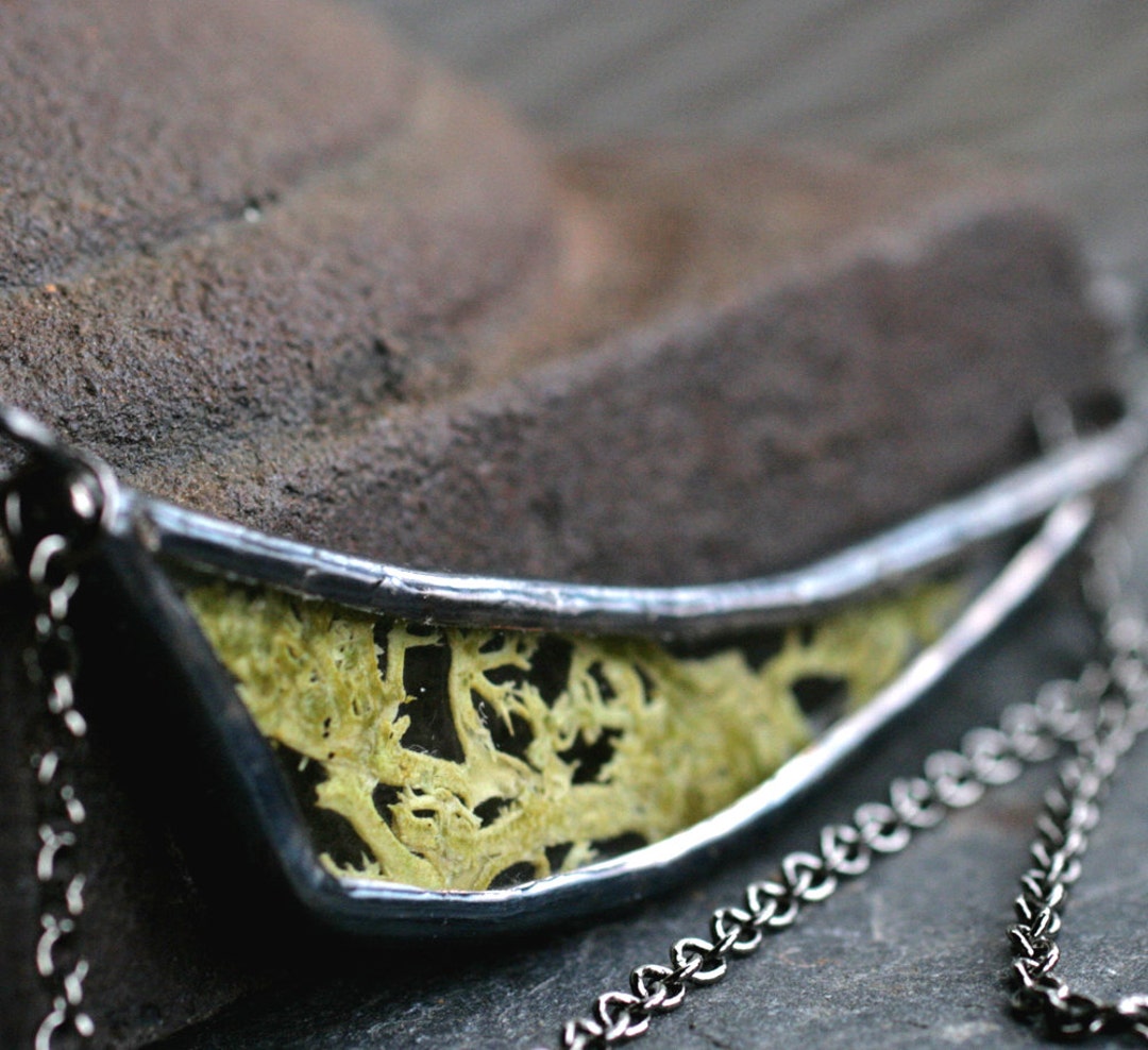 Real Moss Necklace Terrarium Necklace Natural Moss Jewelry Modern ...