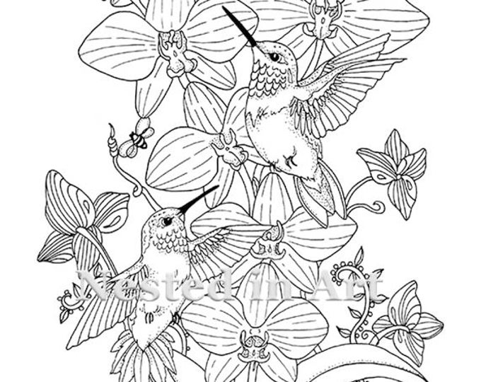 Adult Coloring Page Hummingbirds and Orchids Digital Download Punch ...