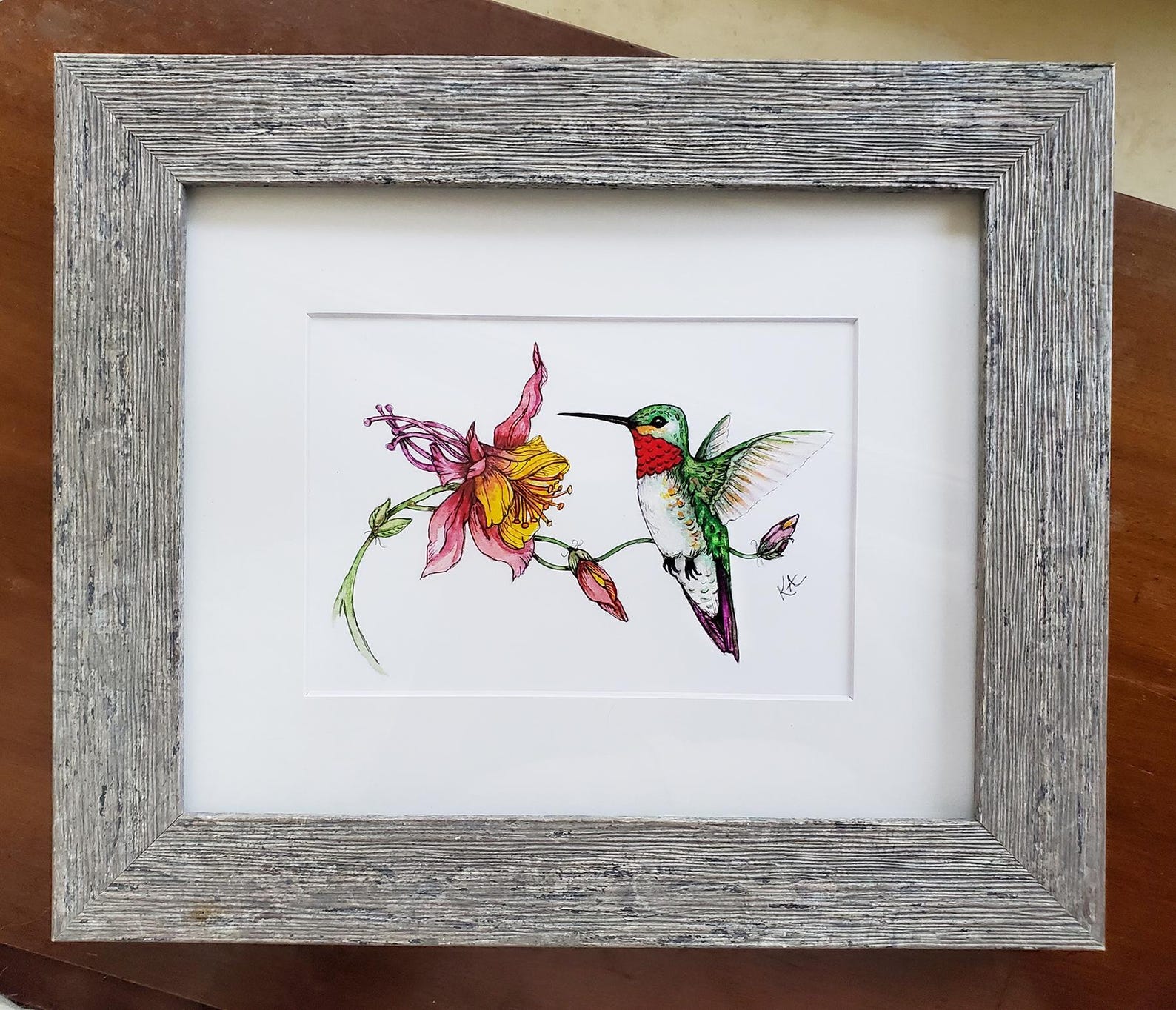 Hummingbird and Columbine Flower High-quality Archival 5x7 Giclée Print ...
