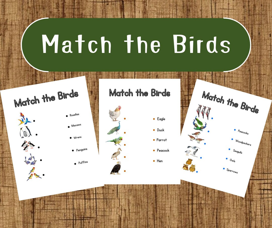 Printable Matching Worksheets, Match the Birds, Kindergarten Preschool ...