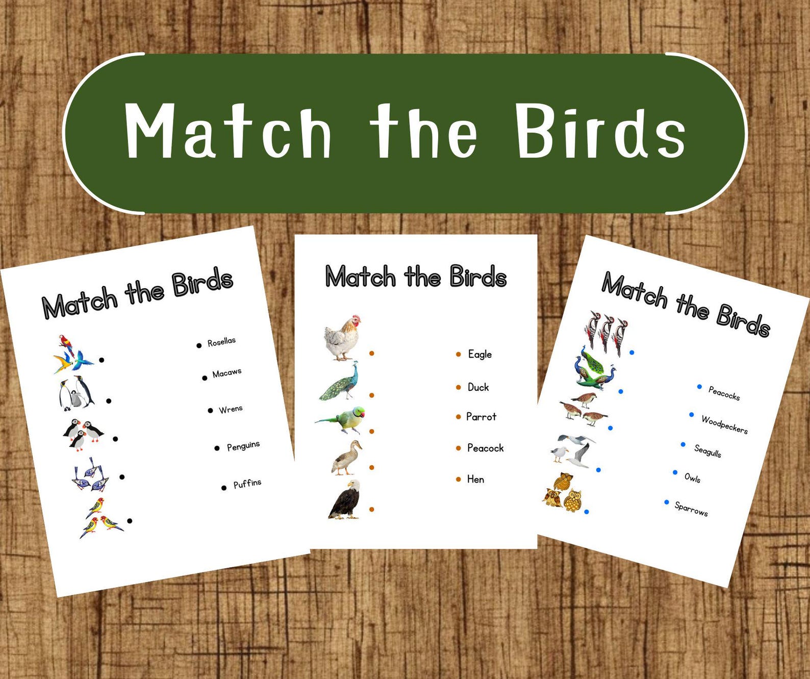 Printable Matching Worksheets, Match the Birds, Kindergarten Preschool ...
