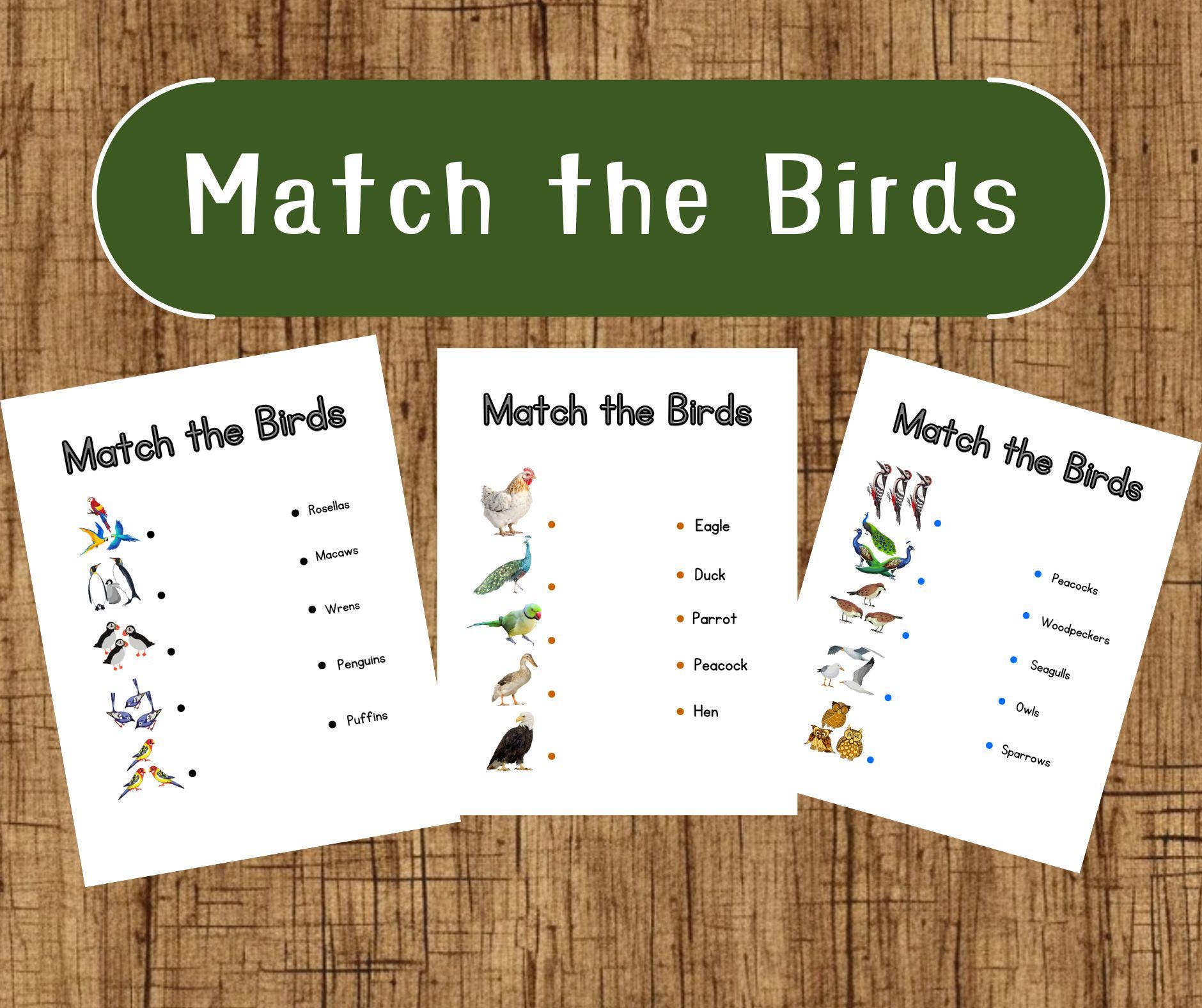 Printable Matching Worksheets, Match the Birds, Kindergarten Preschool ...