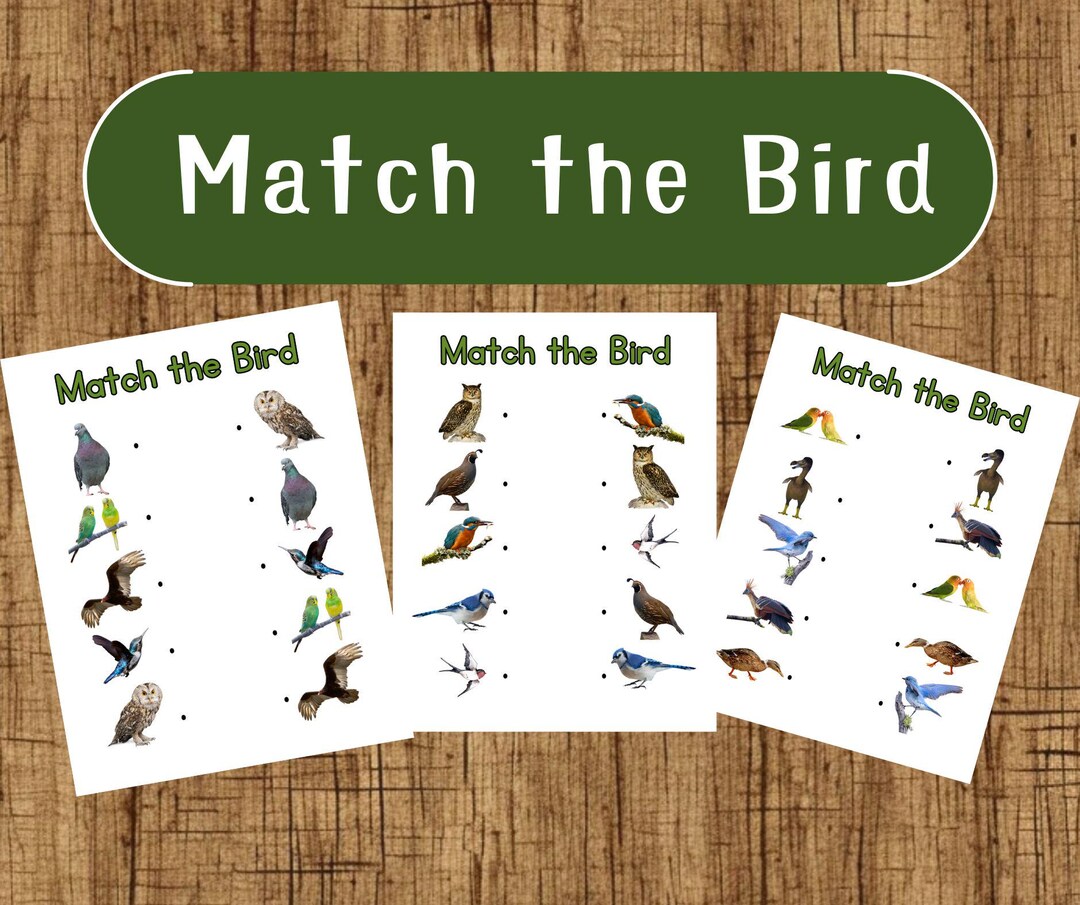 Printable Matching Worksheets, Match the Birds, Kindergarten Preschool ...