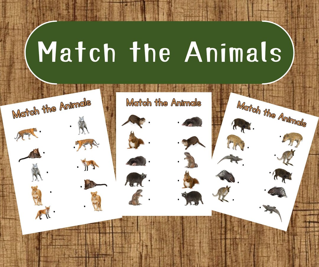 Printable Matching Worksheets, Match the Animals, Kindergarten ...