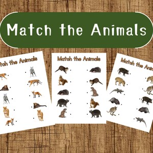 Printable Matching Worksheets, Match the Animals, Kindergarten ...