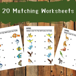 Printable Matching Worksheets, Match the Picture, Kindergarten ...