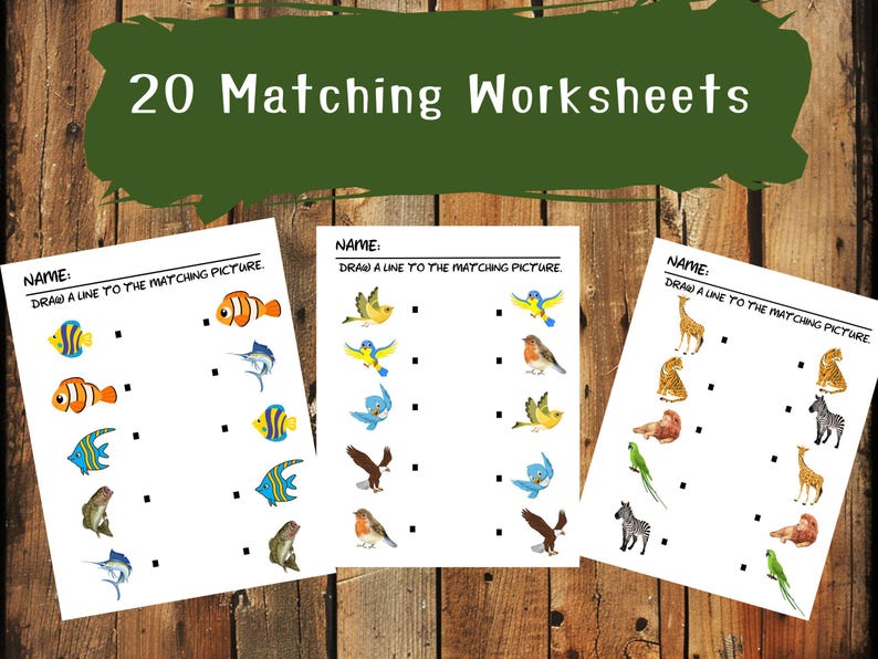 Printable Matching Worksheets, Match the Picture, Kindergarten ...