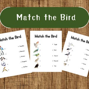 Printable Matching Worksheets, Match the Birds, Kindergarten Preschool ...
