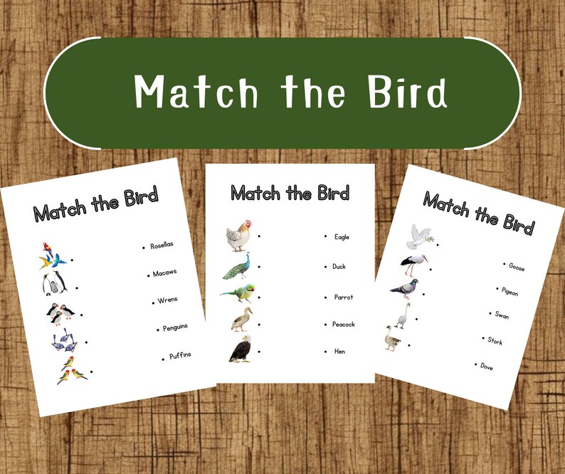 Printable Matching Worksheets, Match the Birds, Kindergarten Preschool ...
