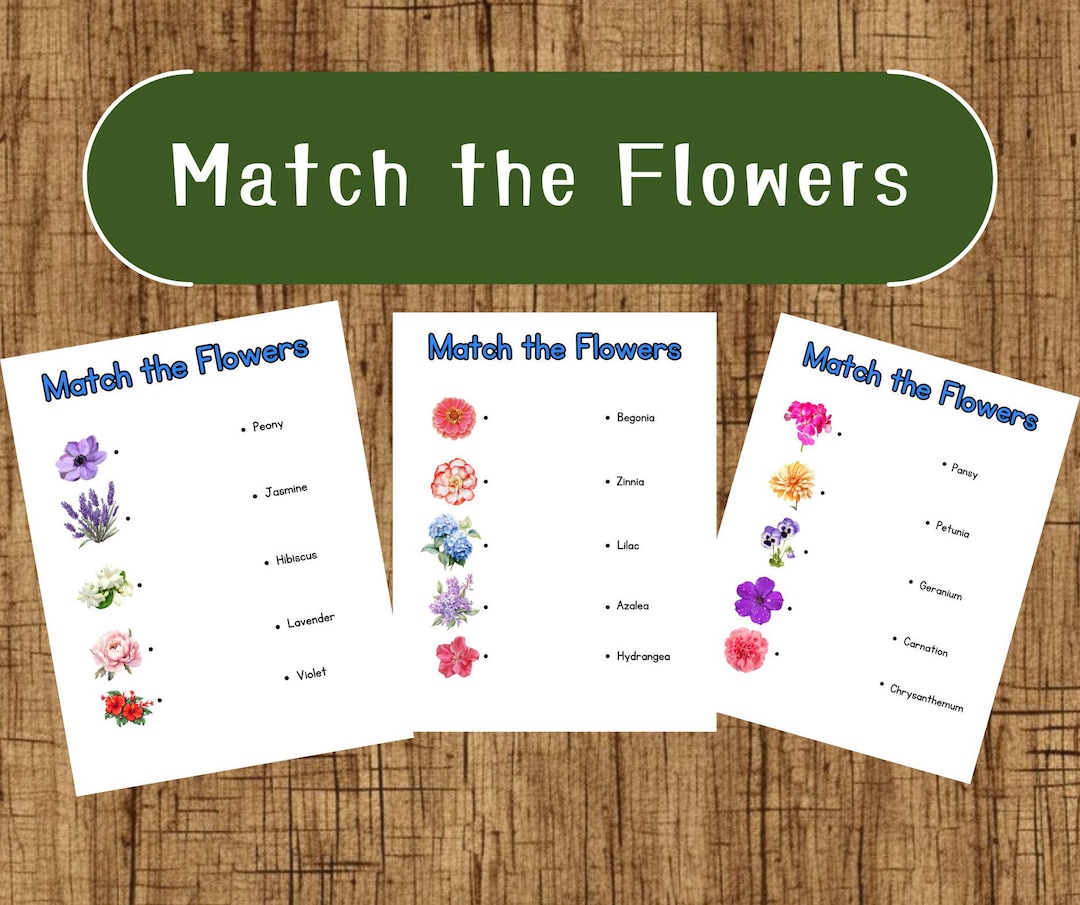 Printable Matching Worksheets, Match the Flower, Kindergarten Preschool ...