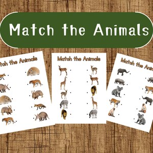 Printable Matching Worksheets, Match the Animals, Kindergarten ...