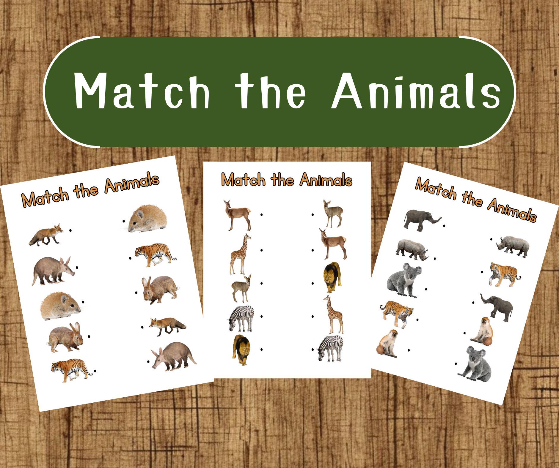 Printable Matching Worksheets, Match the Animals, Kindergarten ...