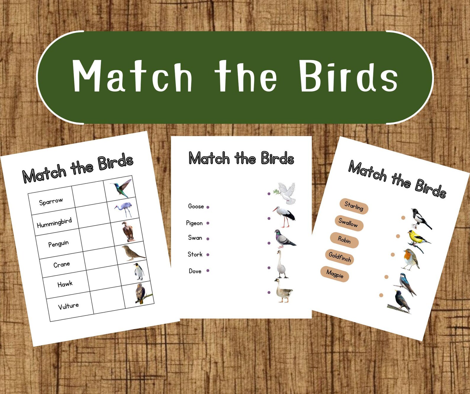 Printable Matching Worksheets, Match the Birds, Kindergarten Preschool ...