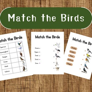 Printable Matching Worksheets, Match the Birds, Kindergarten Preschool ...