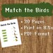 Printable Matching Worksheets, Match the Birds, Kindergarten Preschool ...