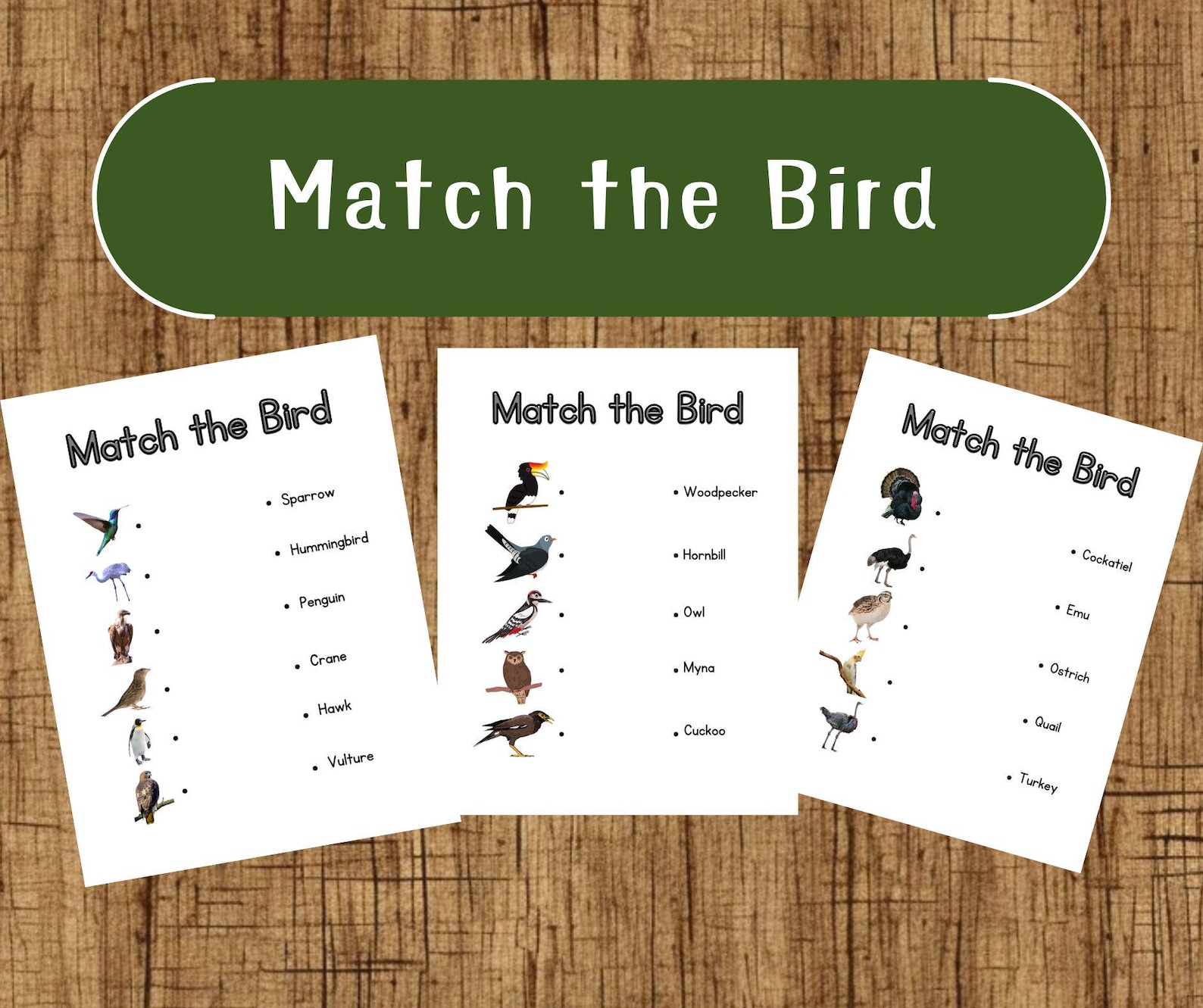 Printable Matching Worksheets, Match the Birds, Kindergarten Preschool ...
