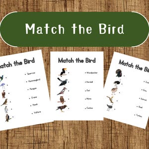 Printable Matching Worksheets, Match the Birds, Kindergarten Preschool ...