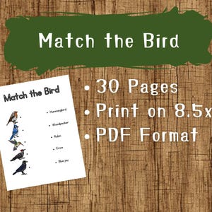 Printable Matching Worksheets, Match the Birds, Kindergarten Preschool ...