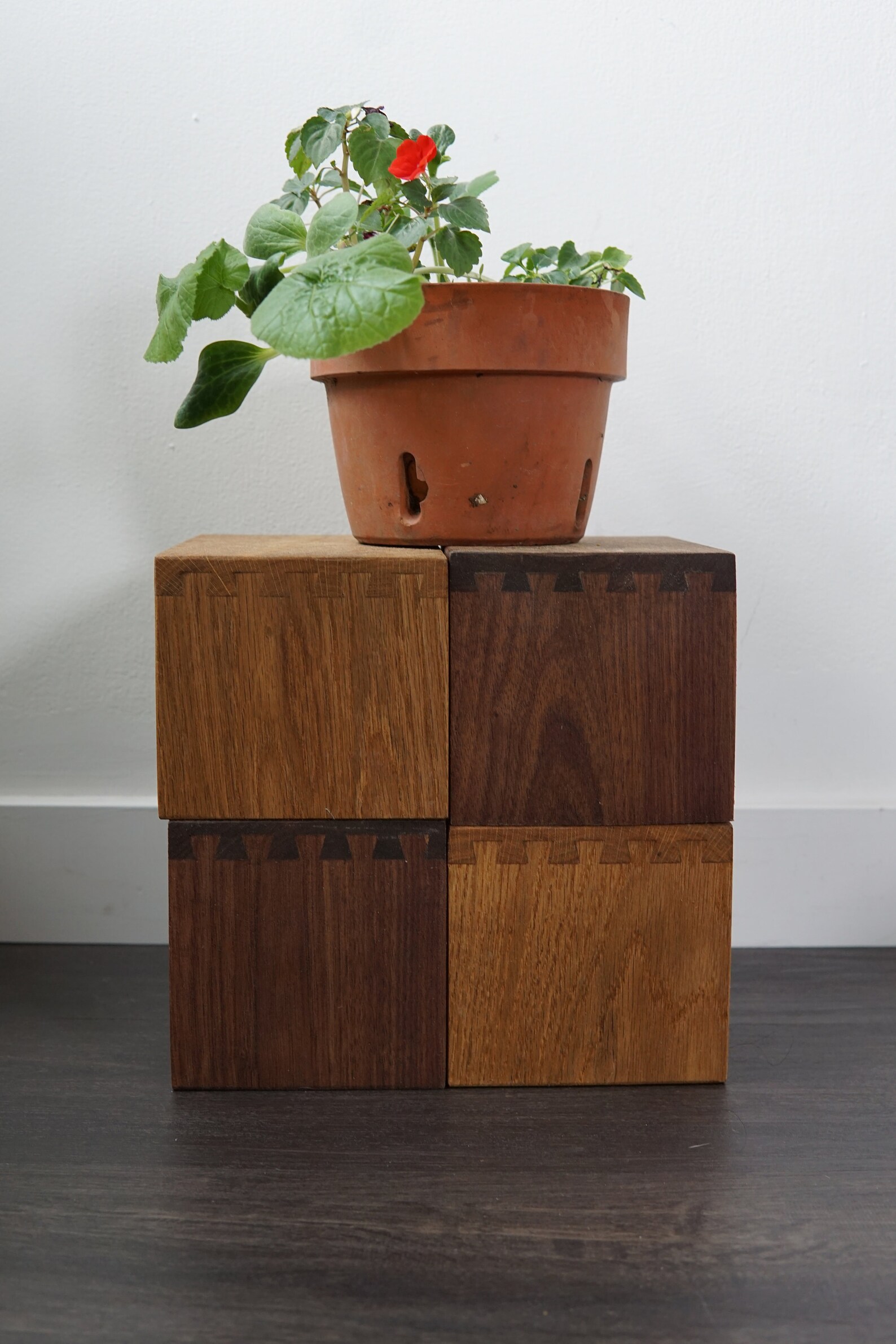 Modern Wood Plant Stand | Step Stool | Dovetail Wood Joints | Dovetail ...