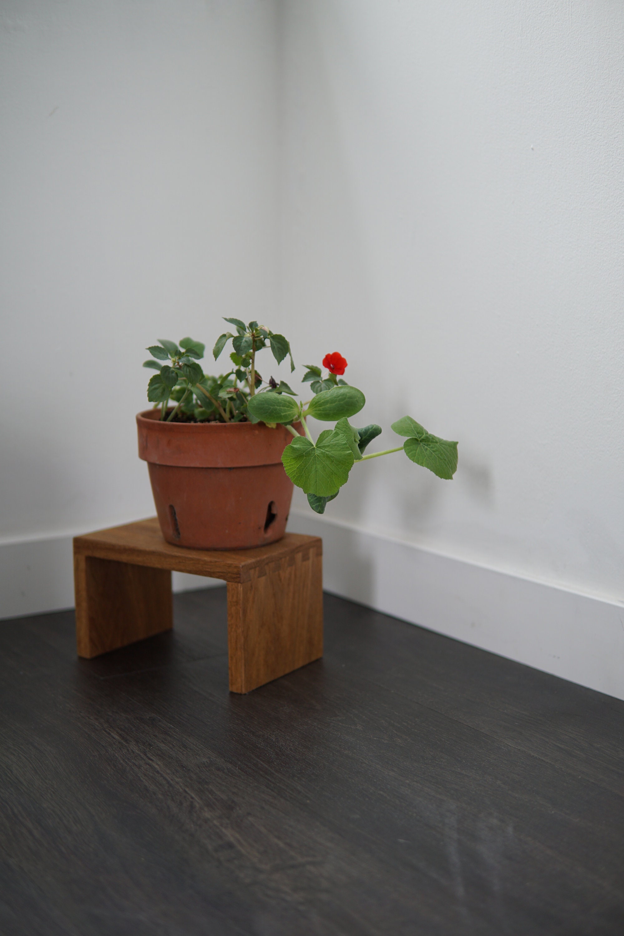 Modern Wood Plant Stand | Step Stool | Dovetail Wood Joints | Dovetail ...