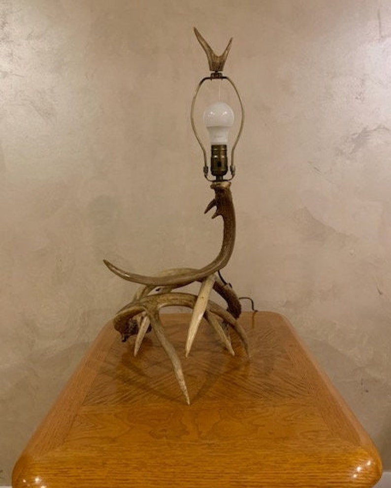 Trophy Whitetail Deer, 3 Antler Desk Lamp | Rustic Country Cabin ...