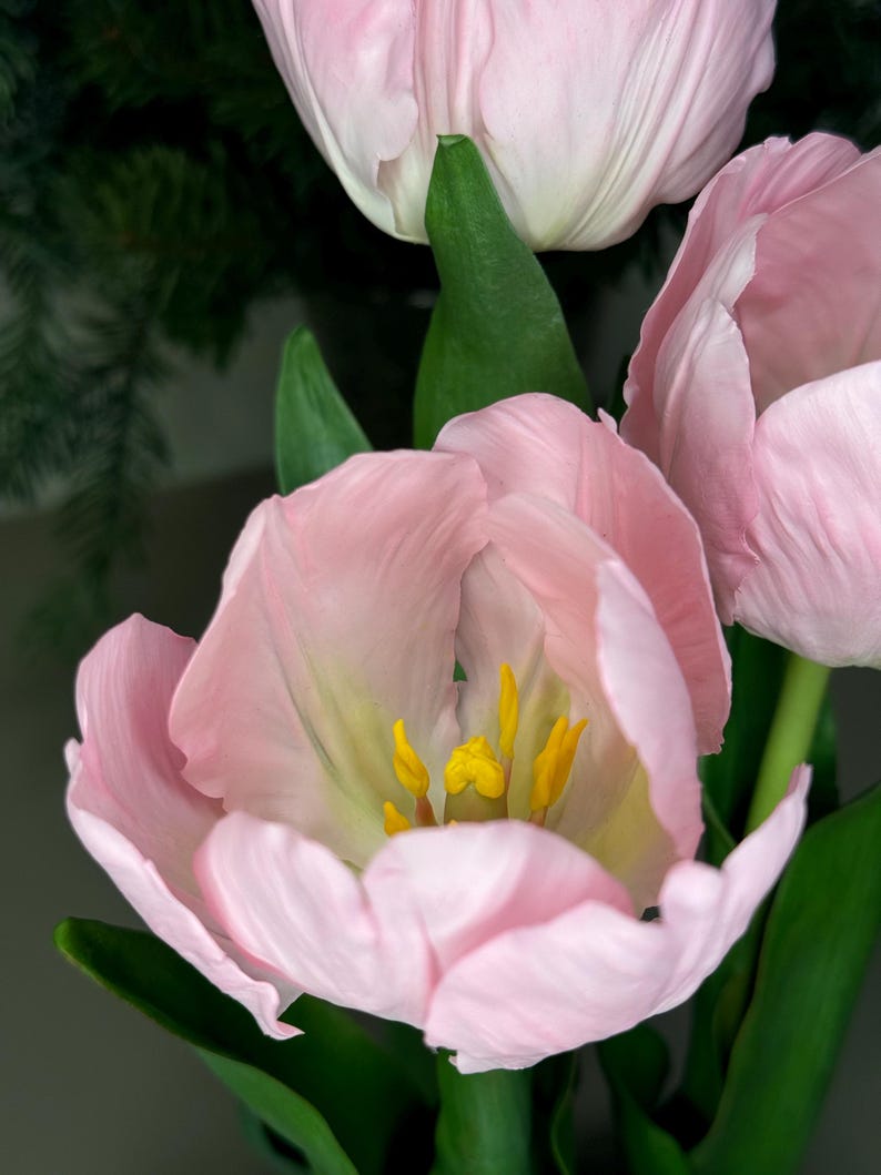 Japanese Cold Porcelain Tulip - Etsy