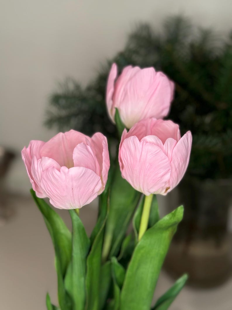 Japanese Cold Porcelain Tulip - Etsy