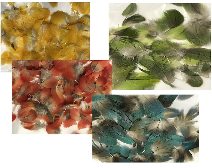 Scarlet Macaw Peyote Ceremony Feather Fan, NAC Native American Church ...