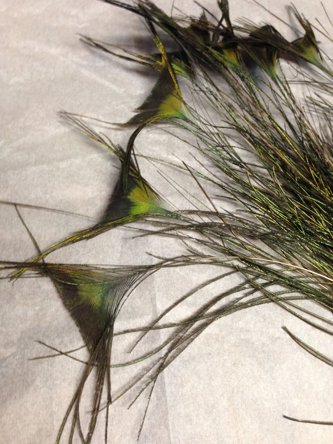 Butterfly EYE FEATHERS, Beautiful Natural Peacock Feathers, 20 Crafting ...