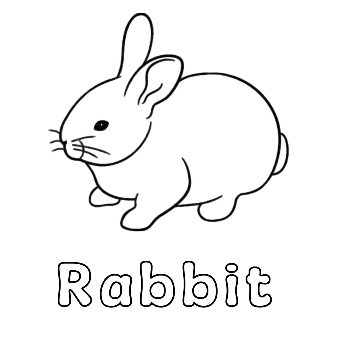 Mammal Coloring Book and Coloring Sheets - Etsy