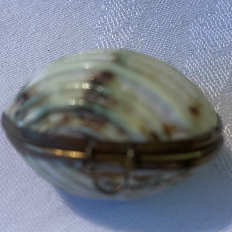 Shell Pill Box - Etsy