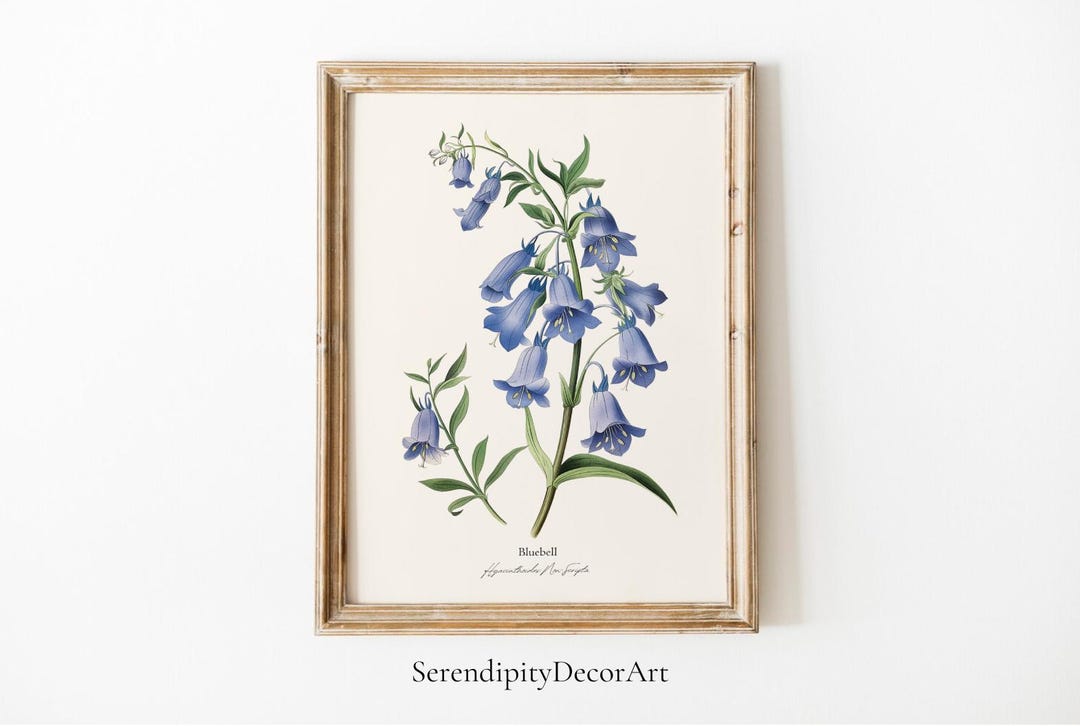 Digital Bluebell Botanical Print | Natural Colors Decor | Floral ...
