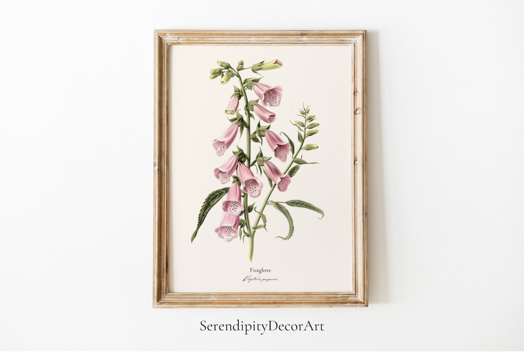 Digital Foxglove Botanical Print | Floral Art | Vintage Inspired ...