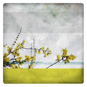 Spring Botanical Art Print Yellow Flowers Photography Bright Wall Art ...