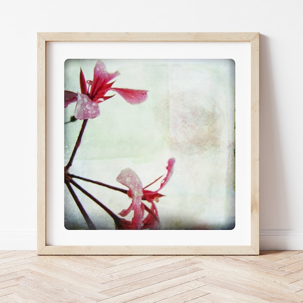 Geranium Print - Etsy