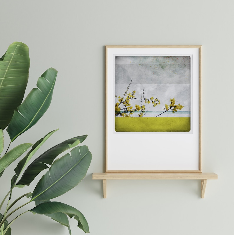 Spring Botanical Art Print Yellow Flowers Photography Bright Wall Art ...