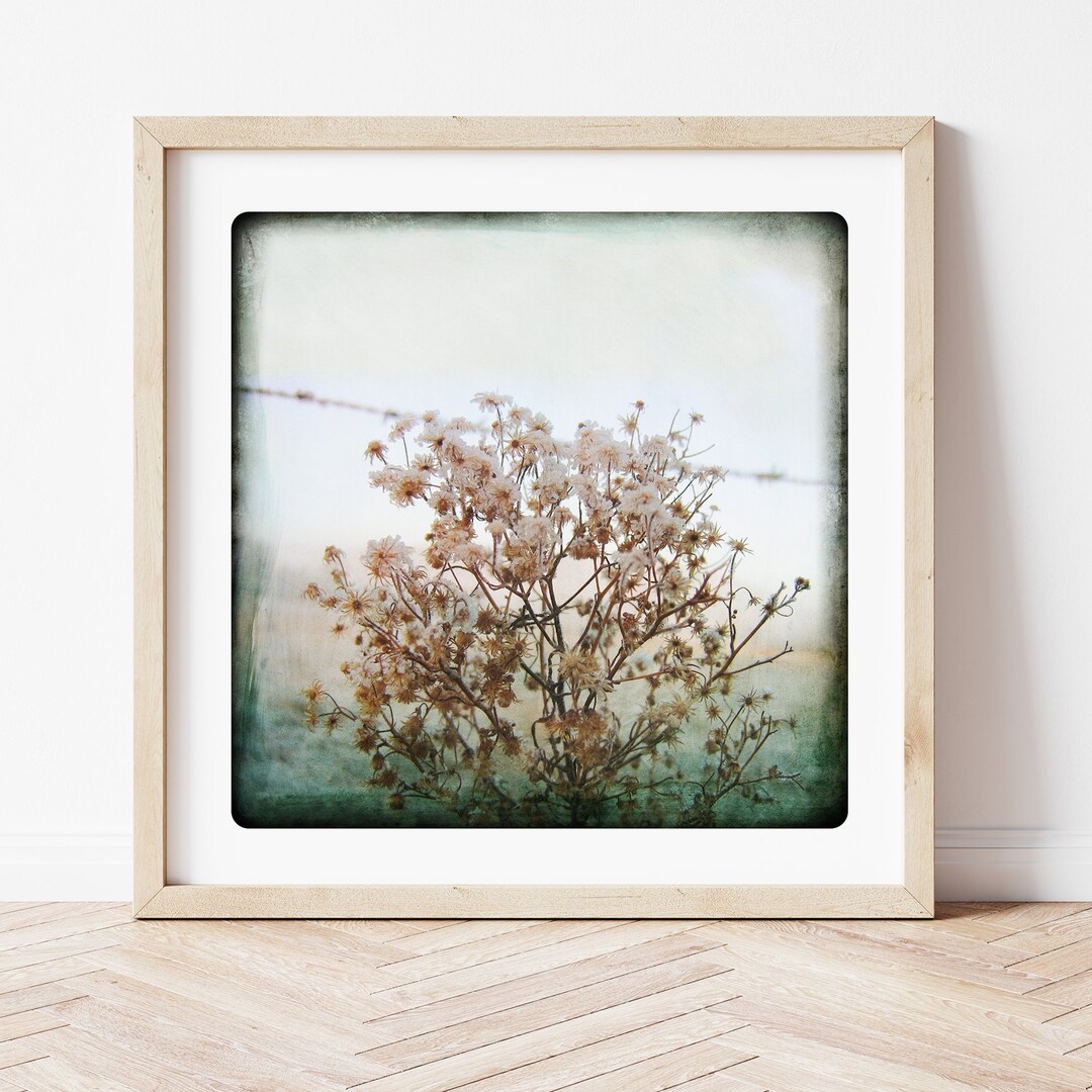 Fotografia Inverno Pianta sotto la neve Stampa artistica Natura Beige ...