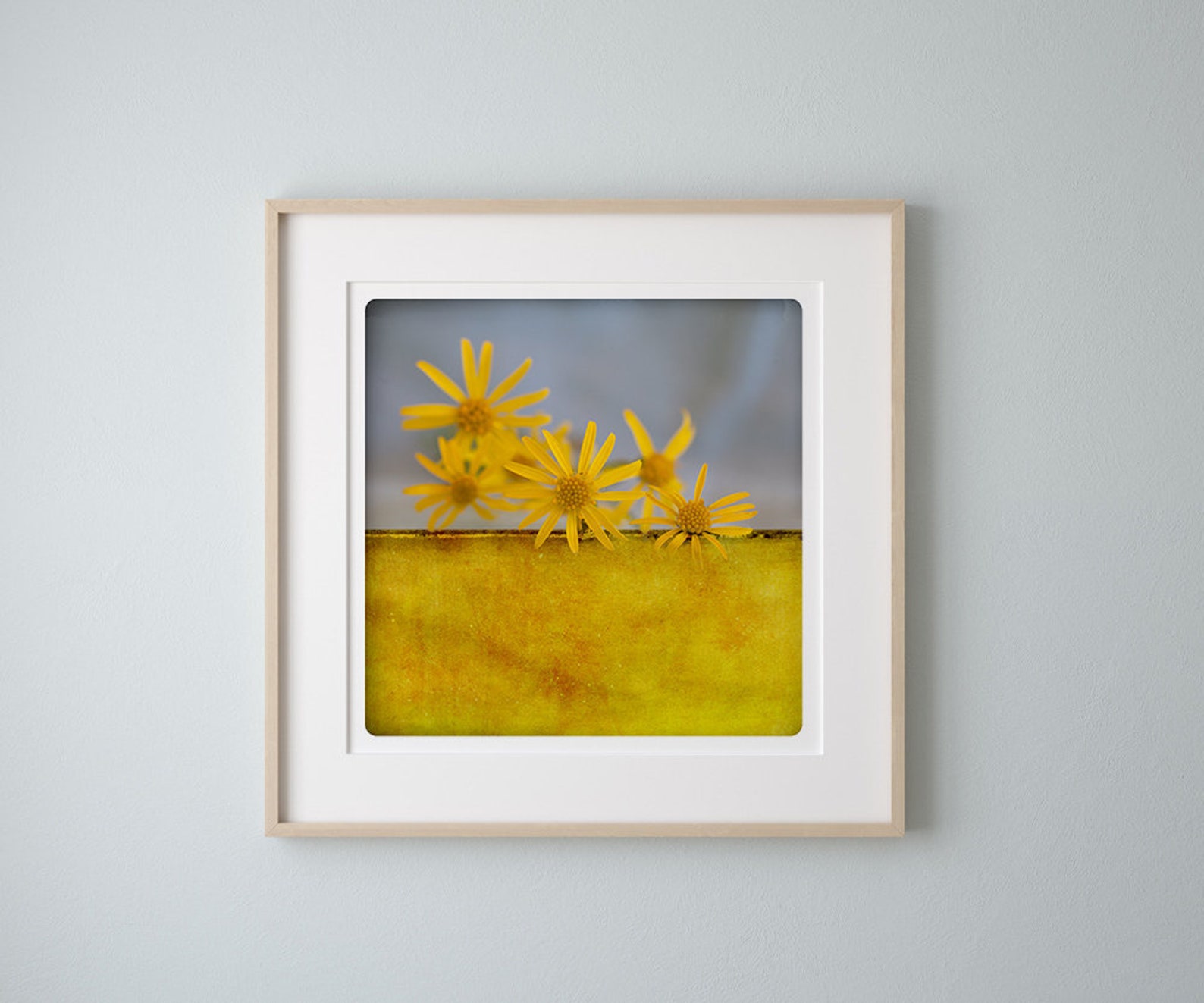 Gold Yellow Dandelion Flowers Photography Botanical Fine Art Print Wall ...