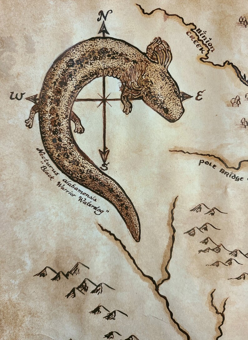 Lake Tuscaloosa Map - Fine Art Print - Etsy