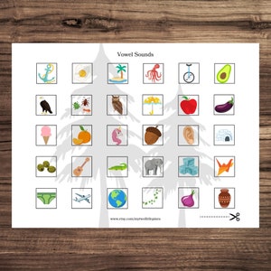 Beginning Sounds Vowel Sounds Alphabet Practice Classroom Charts ...