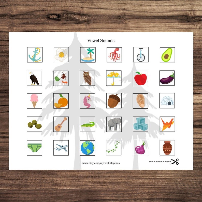 Beginning Sounds Vowel Sounds Alphabet Practice Classroom Charts ...