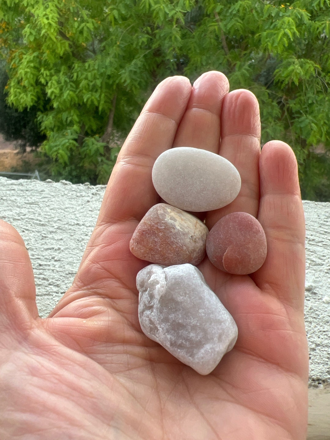 Authentic 4 Pebble Stones From Sea of Galilee Holy Land Where Jesus ...