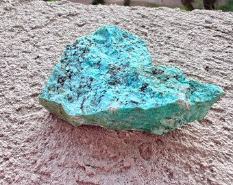 claSEAca - Etsy Israel