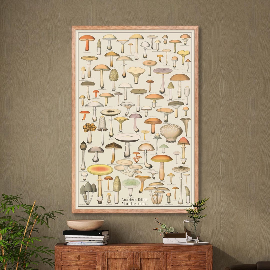 Edible Mushrooms 1 Framed 24x36 Vintage-style Identification Chart ...